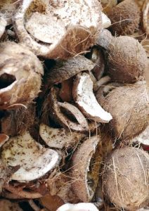 Processed Coconut Products - PT Royal Coconut